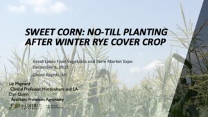 Sweet Corn: No-till Planting after Winter Rye Cover Crop | Purdue University Vegetable Farming