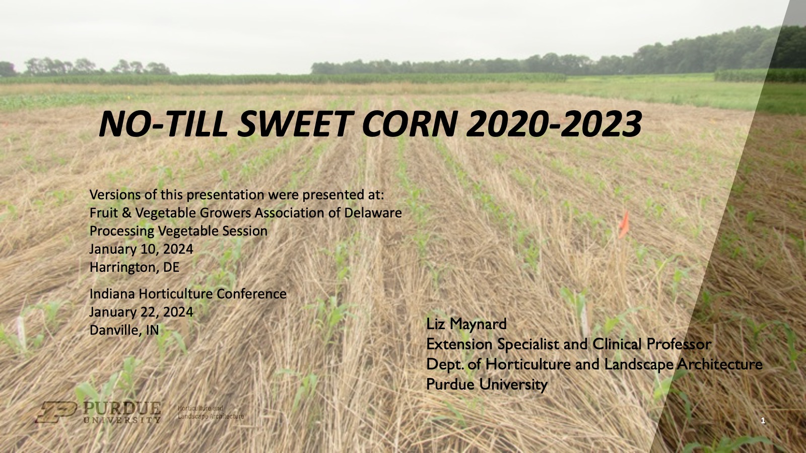 No-till Sweet Corn, 2020-2023 | Purdue University Vegetable Farming
