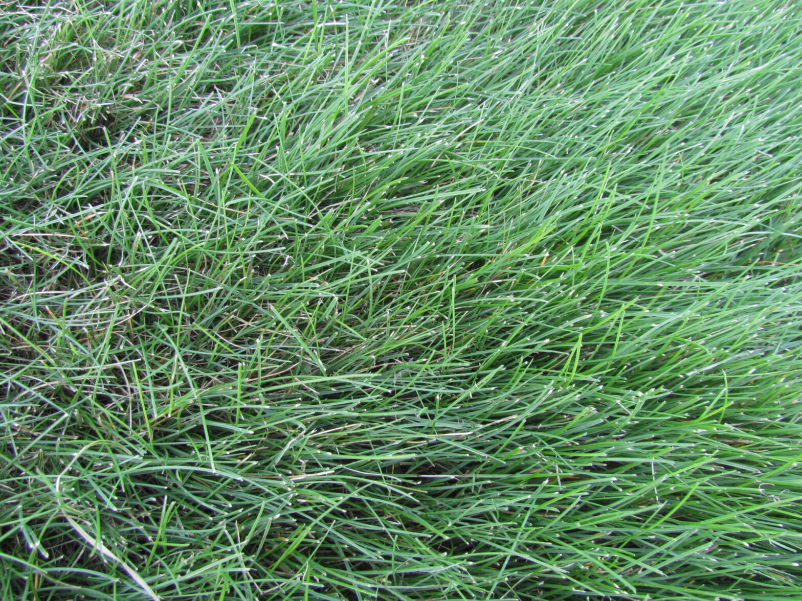 Purdue University Dr. Patton Lab