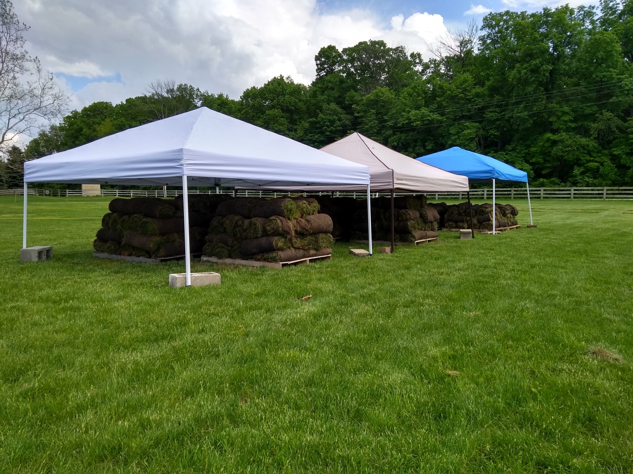 Sod Production | Purdue University Dr. Patton Lab