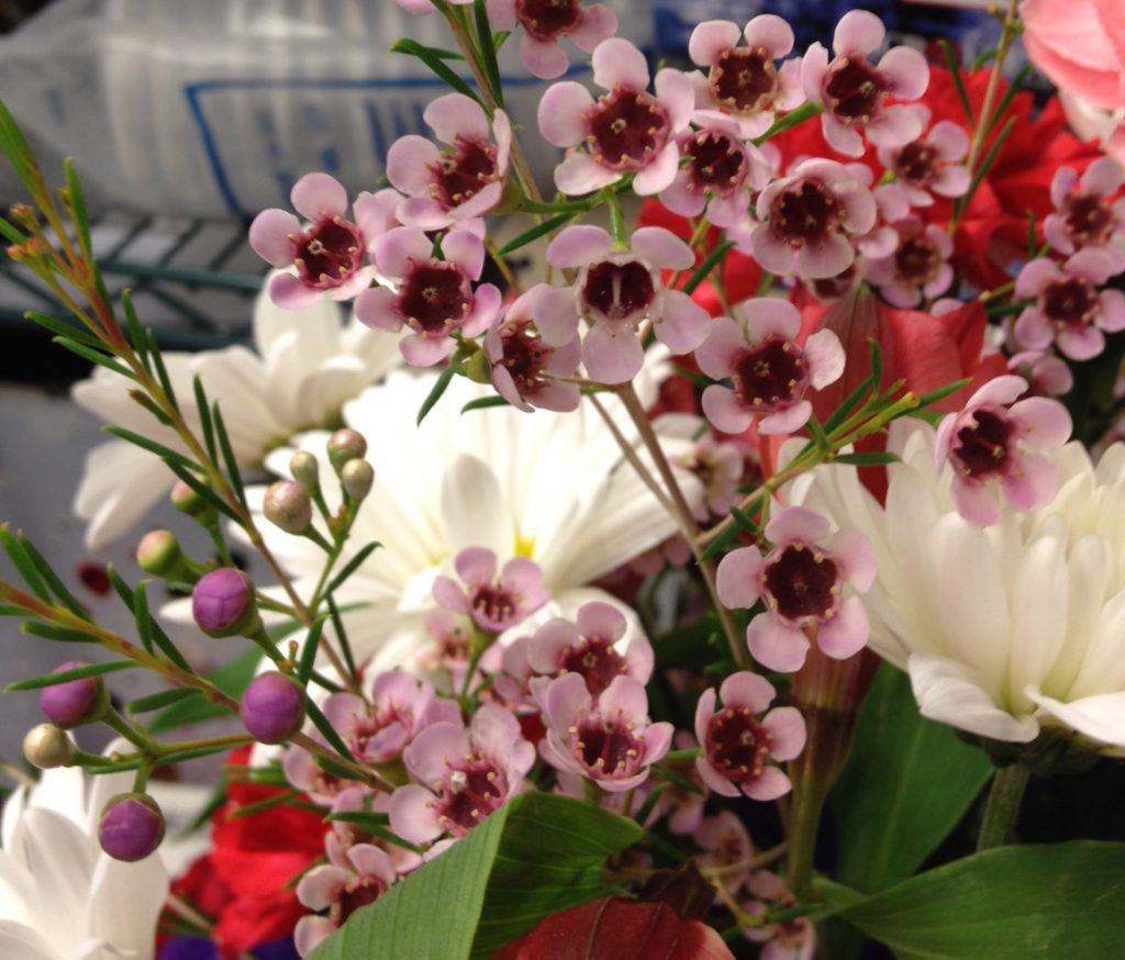 Pink Wax Flower Bouquet