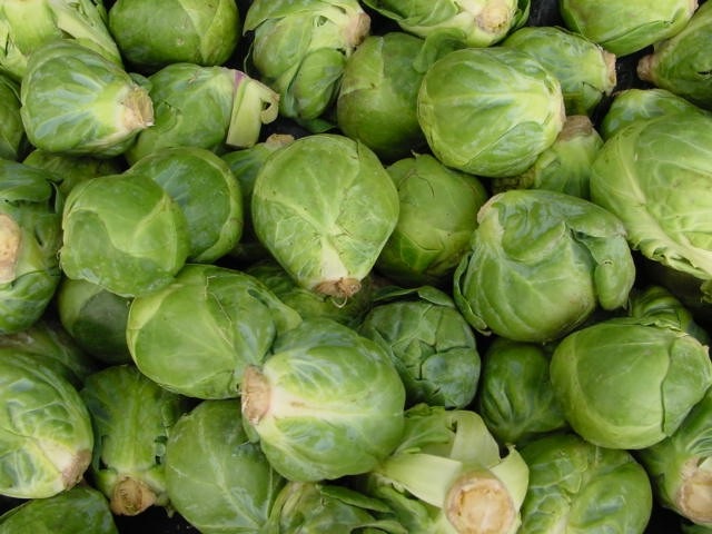 Cool-Season Brussels Sprouts Are Hot - Indiana Yard and Garden - Purdue ...
