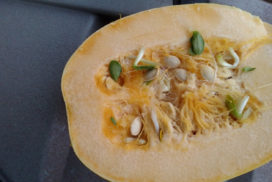 spaghetti squash seeds sprouting inside