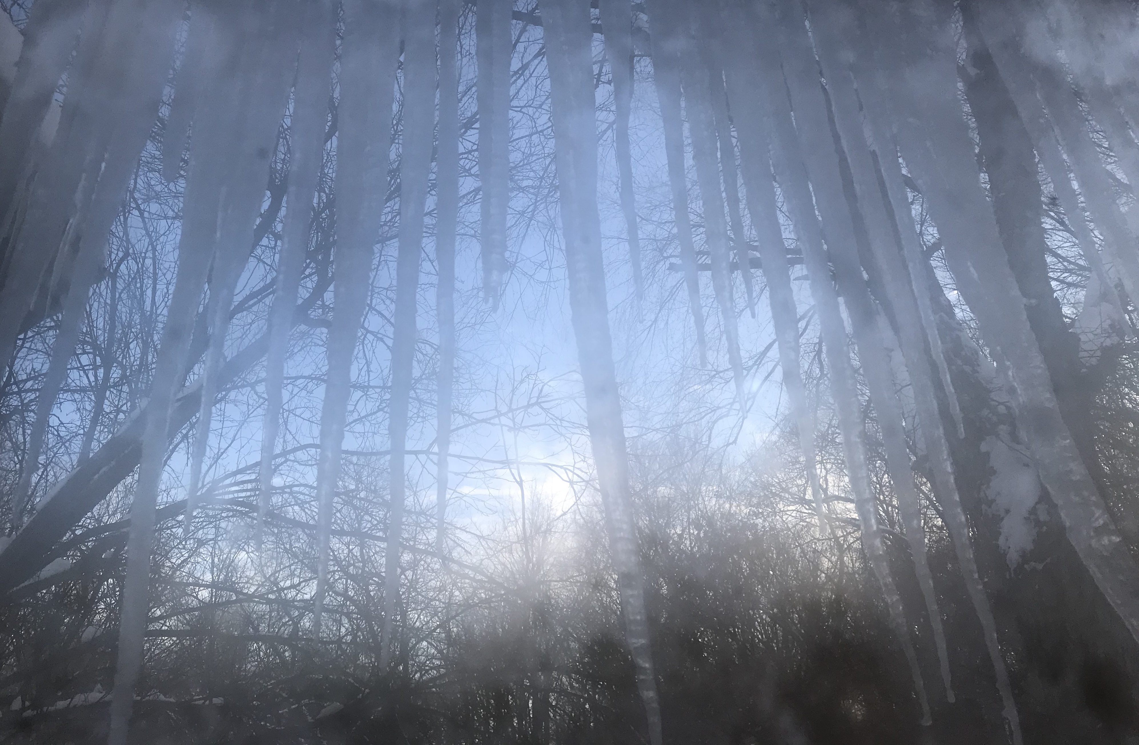 The Big Chill - Indiana Yard and Garden - Purdue Consumer ...