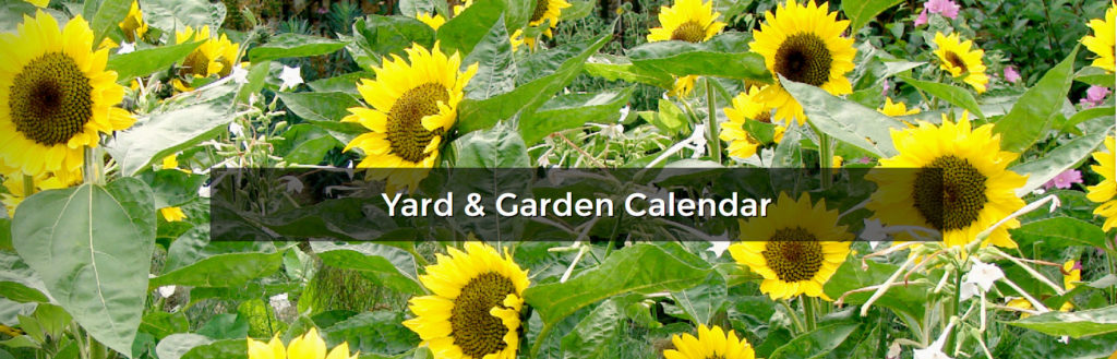 March Garden Calendar - Indiana Yard and Garden - Purdue Consumer ...
