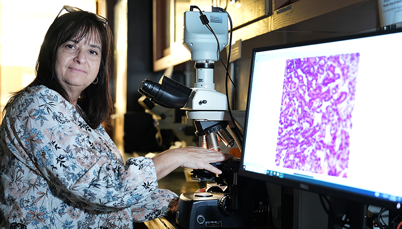 Purdue team examines bio-impact of toxic chemical cocktails in the ...