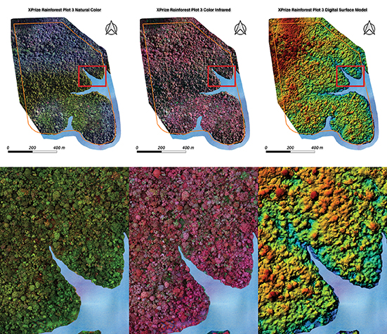 Purdue Digital Forestry team advances to $10 million XPRIZE Rainforest ...