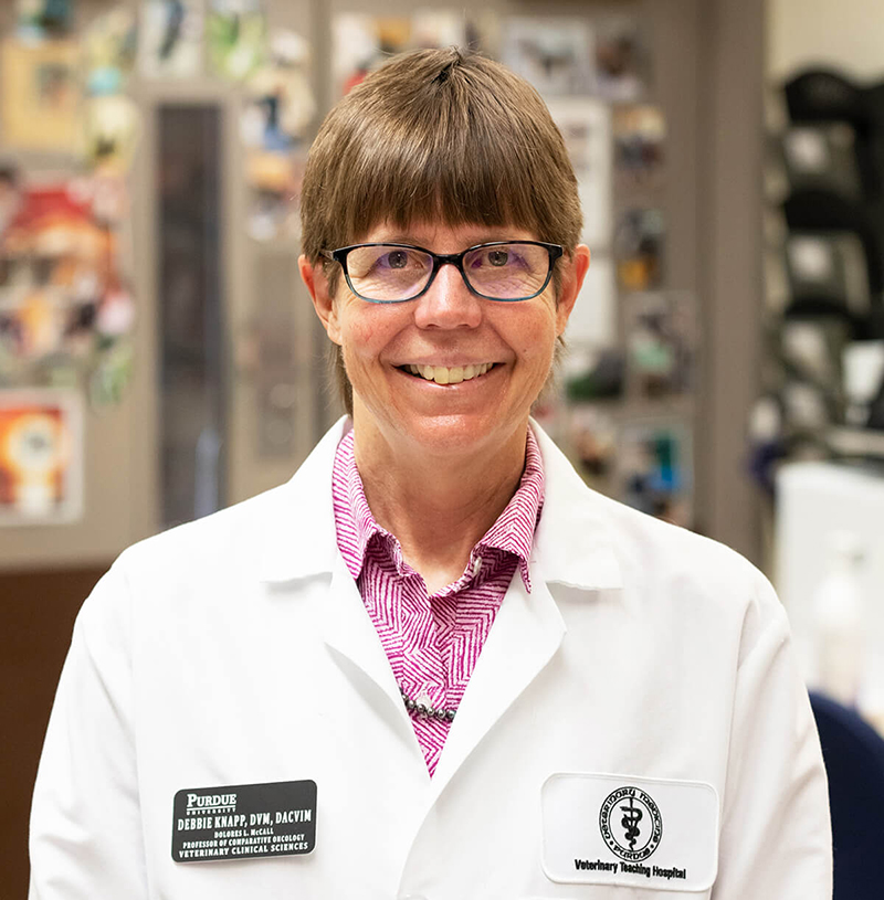 Deborah Knapp: ‘A New Era in Comparative Medical Research and ...