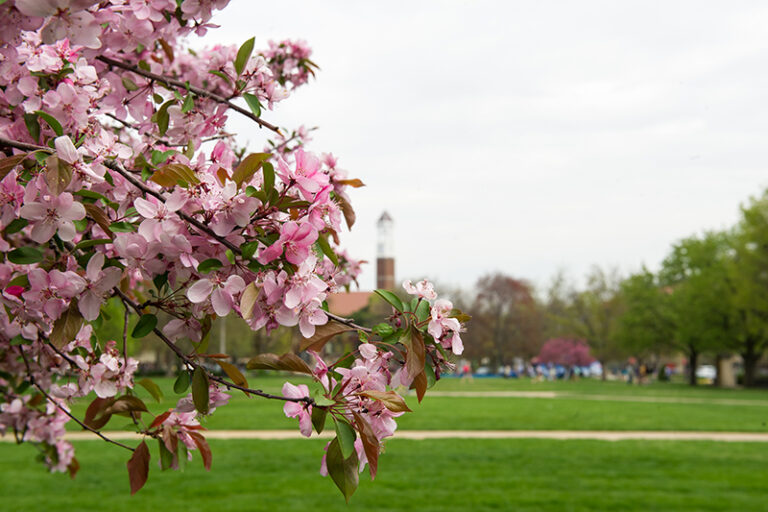 Purdue earns high ranking for campuswide sustainability efforts - News