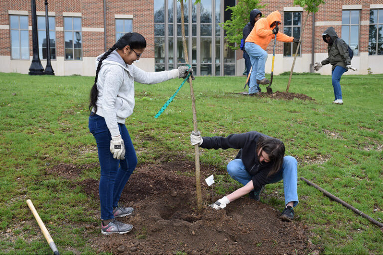 Purdue to achieve 1869 Tree Planting Master Plan this fiscal year - News