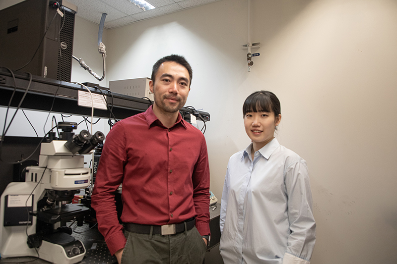Purdue researchers’ crystal engineering modifies 2D metal halide ...