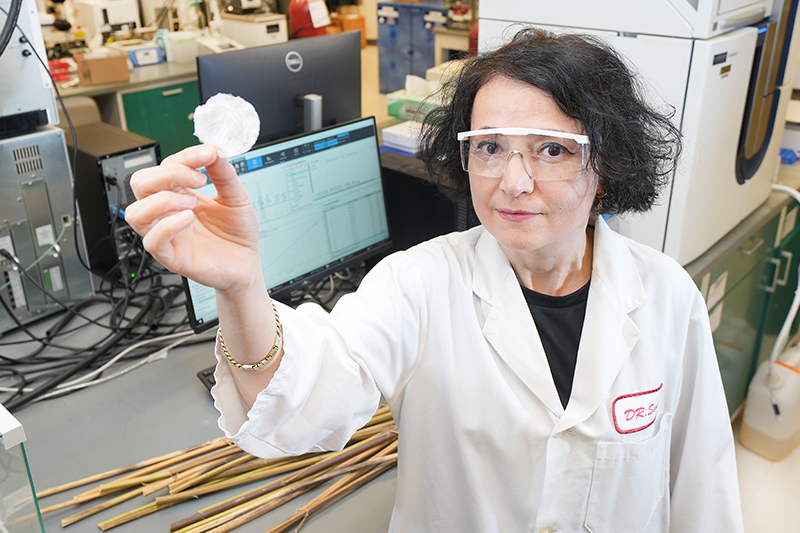 Purdue researchers receive $175K from Purdue Innovates to strengthen ...