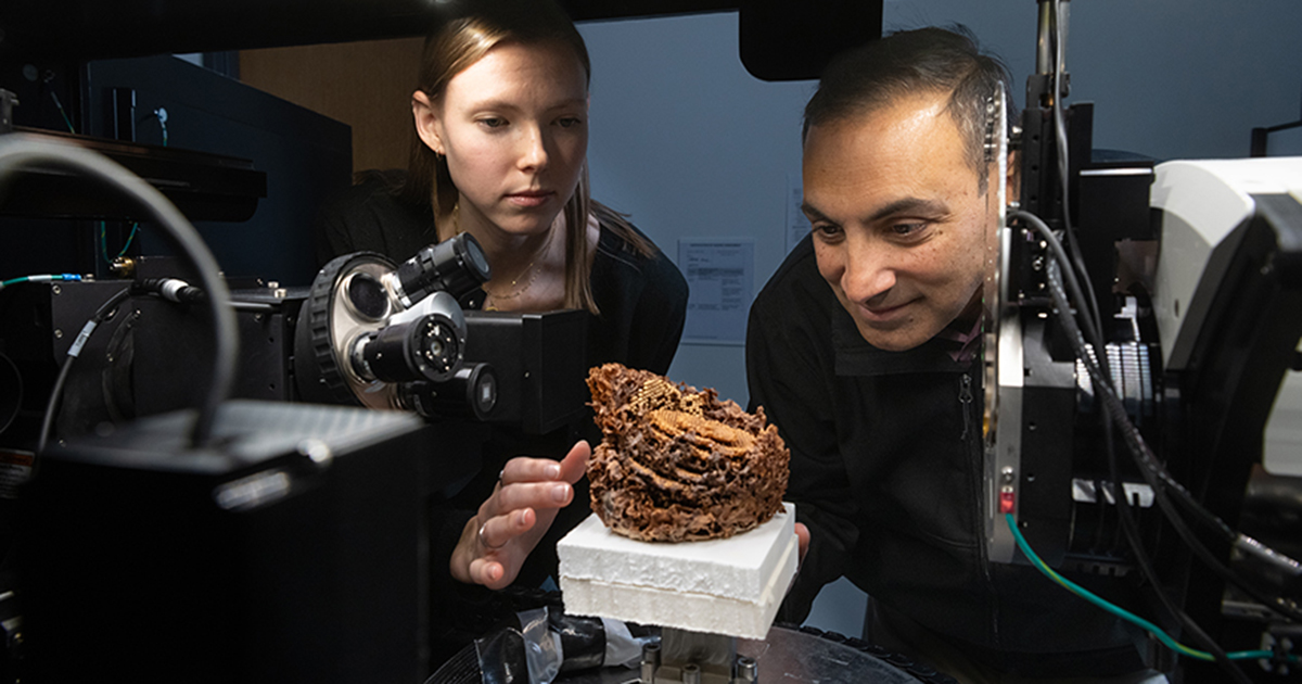 Australian honeycombs abuzz with possibilities for sustainable additive ...