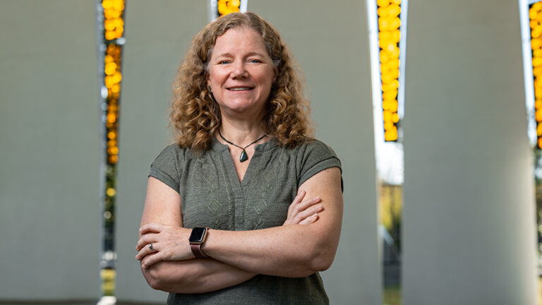 Rocks and rolls: The computational infrastructure of earthquakes and ...