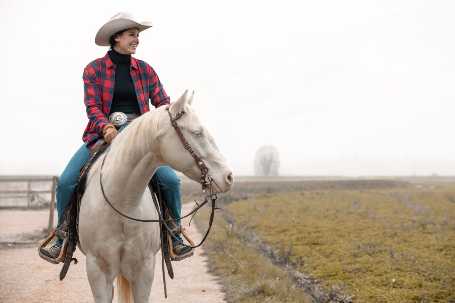 Online equitation science certificate applies the latest research to ...