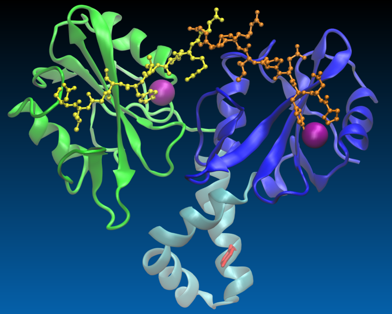 Tyrosine Kinases – Post Lab