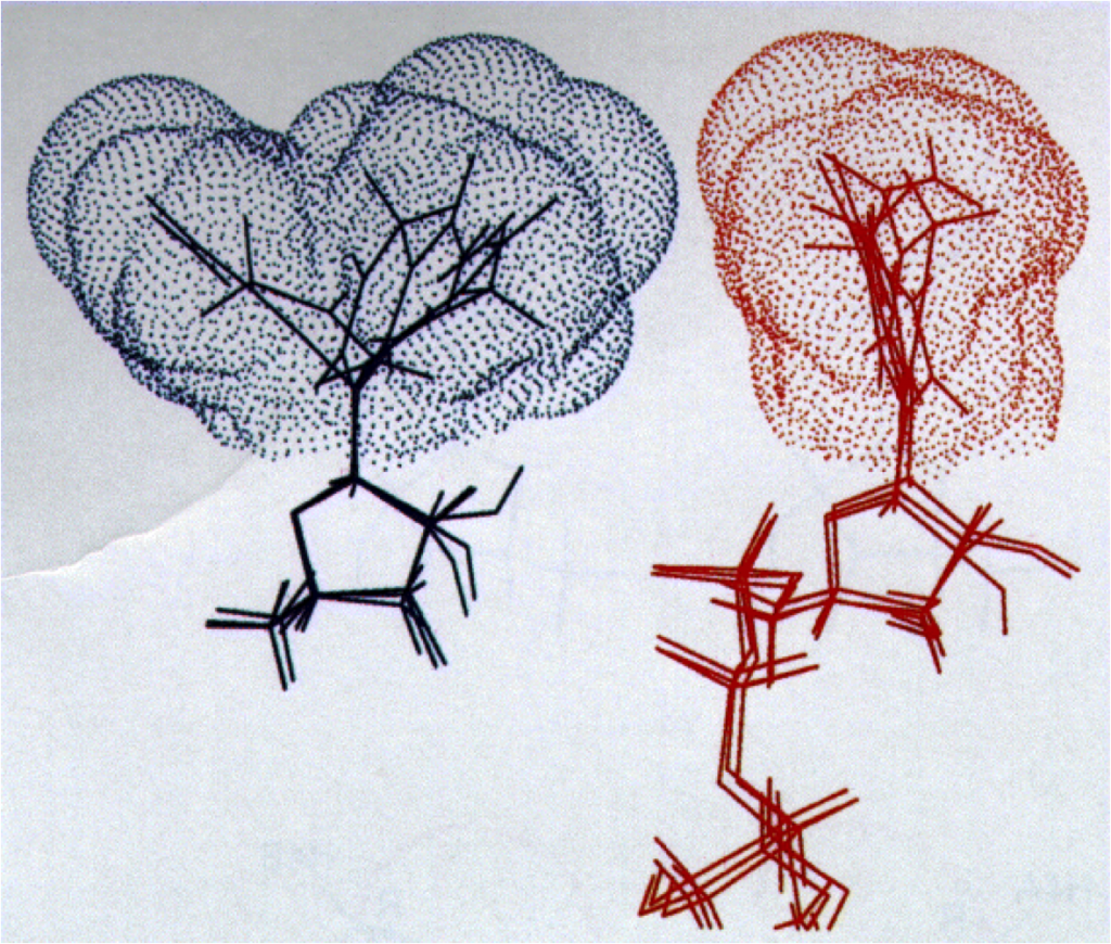 Enzyme Catalysis – Post Lab