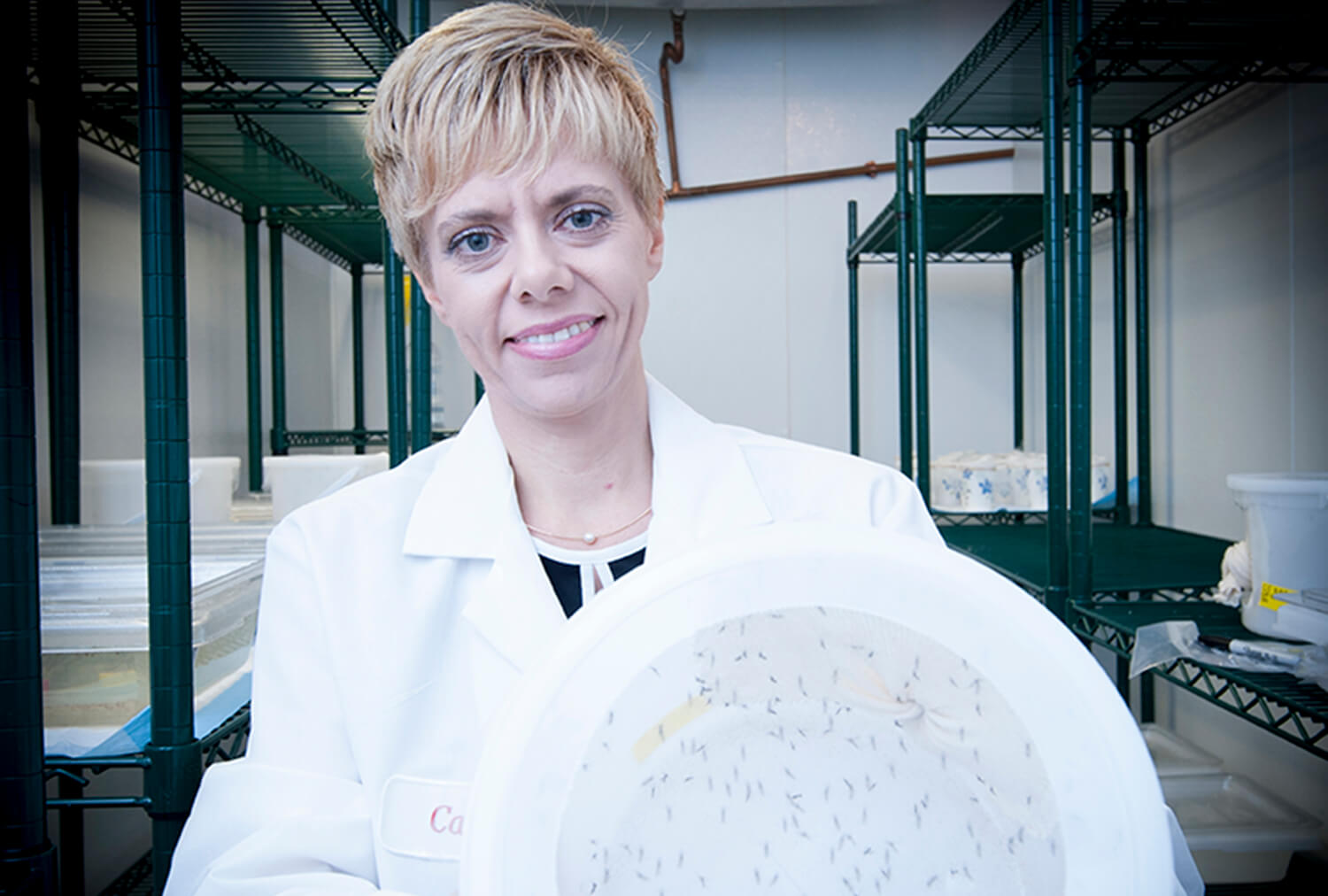 Medical entomologist: ‘Game of Thrones’ offers parallels to new global ...