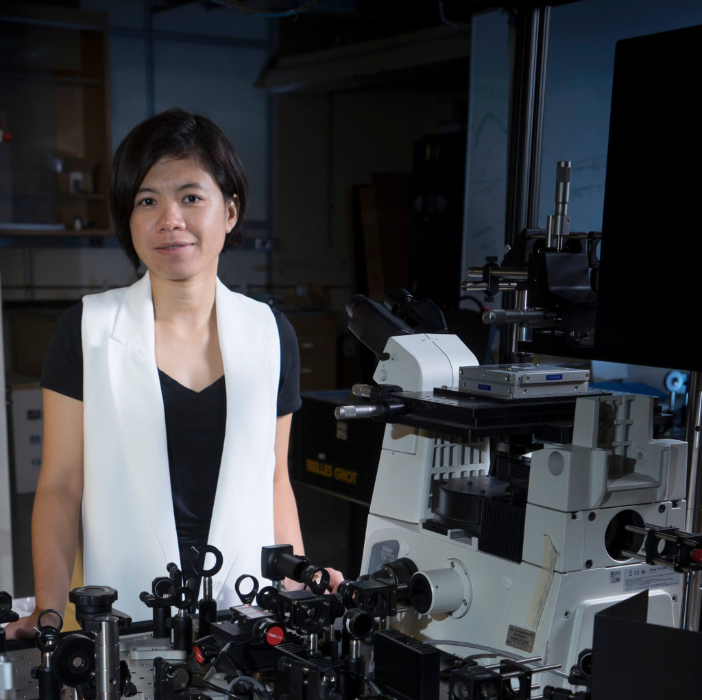 Fast-moving electrons create current in organic solar cells - Research ...