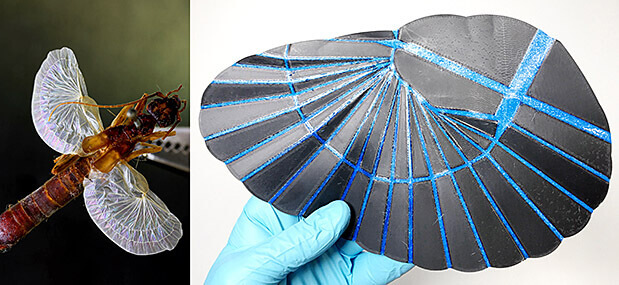 This origami gripper unfolds like an insect wing - Research at Purdue