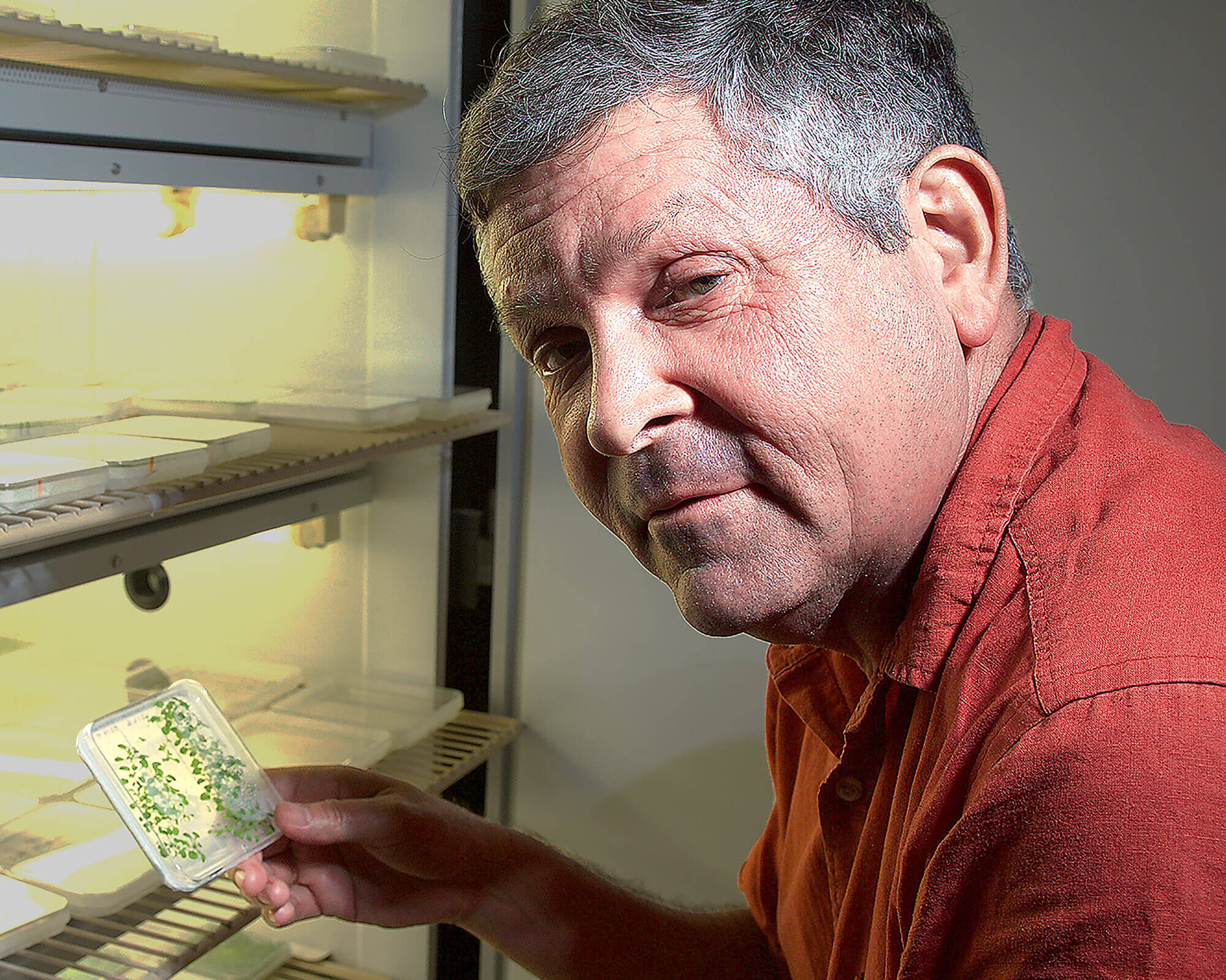 This plant scientist has discovered a possible self-destruct switch for ...