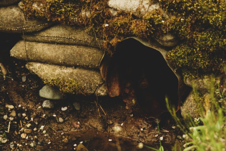 New safety recommendations for culvert repair released