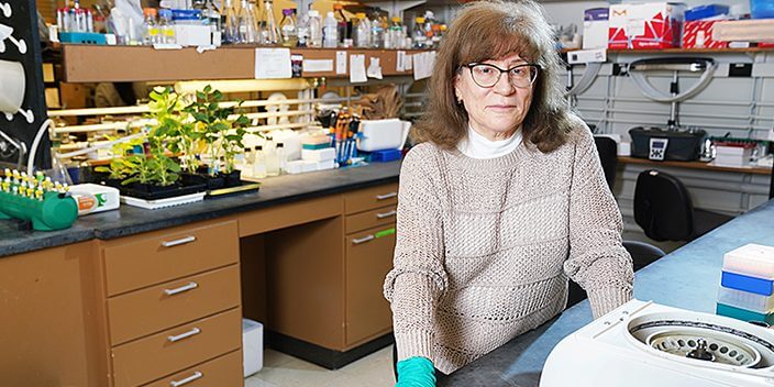 Plant scientists find recipe for anti-cancer compound in herbs ...