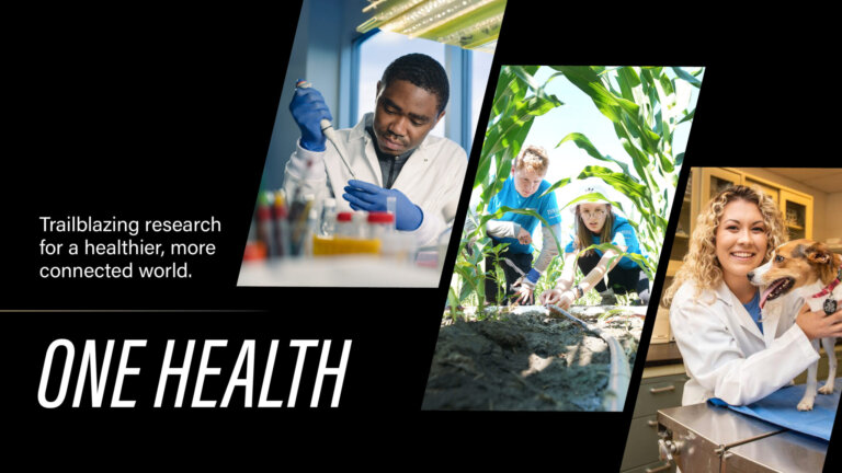 One Health: Control of protein folding strikes at the root of disease ...