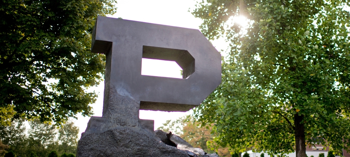 The Purdue Stuttering Project - Speech, Language, & Hearing Sciences ...