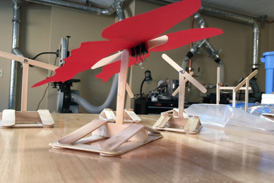 Biomimicry | Purdue University TRAILS