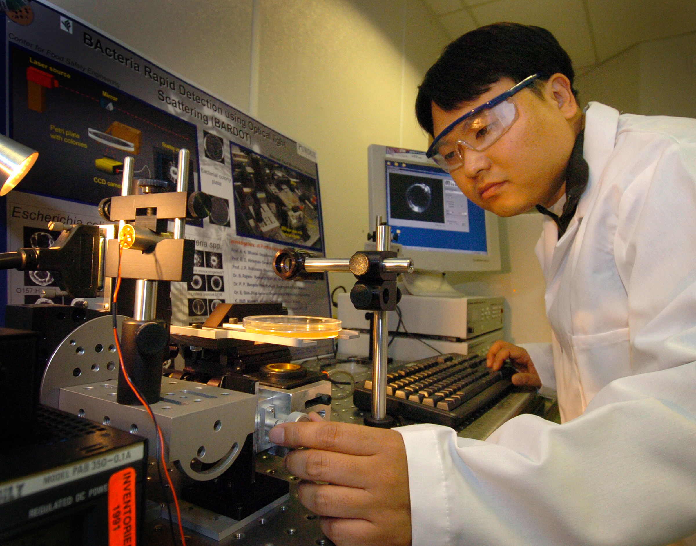 New technology accurately identifies E. coli for food safety