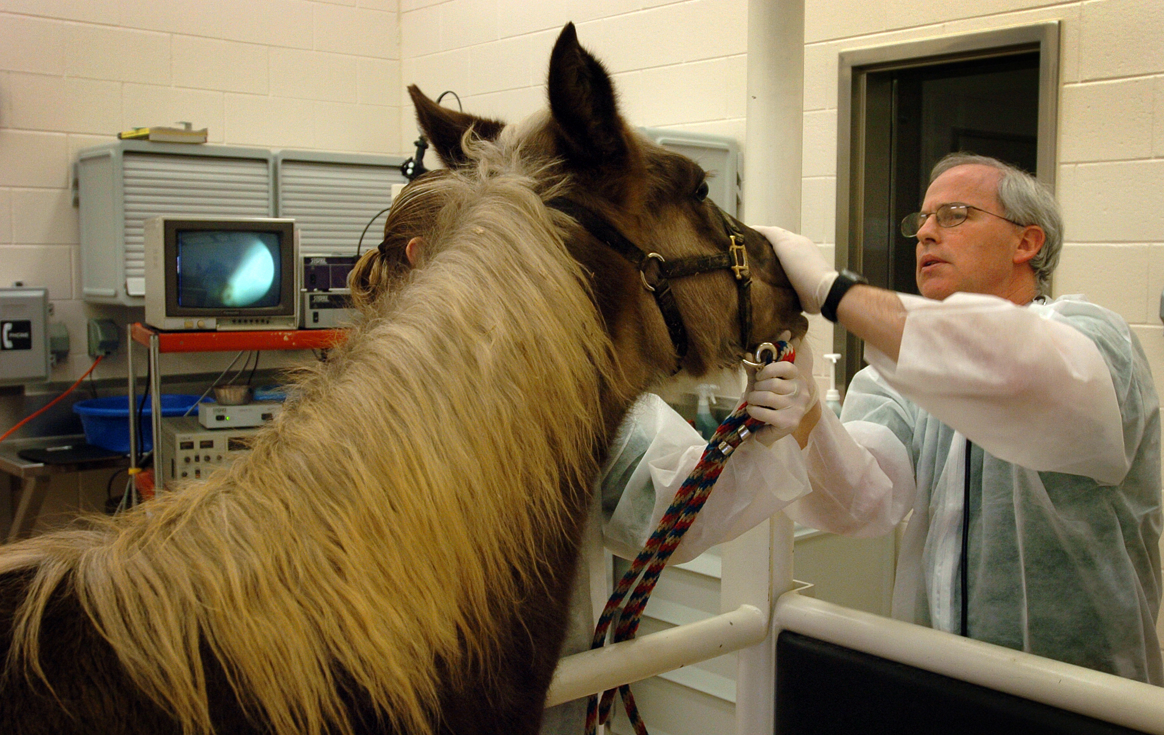 Purdue's Large Animal Isolation Unit open for business