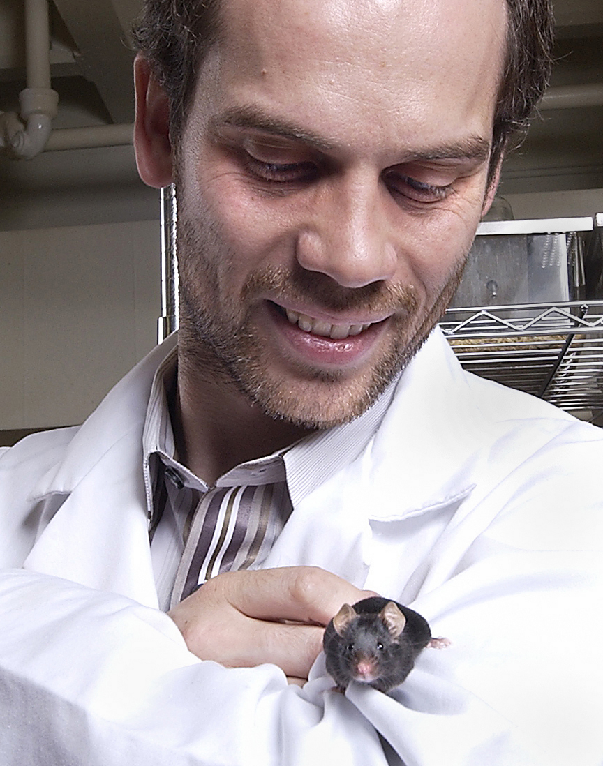 Mice learn tasks that may help treat human psychiatric disorders