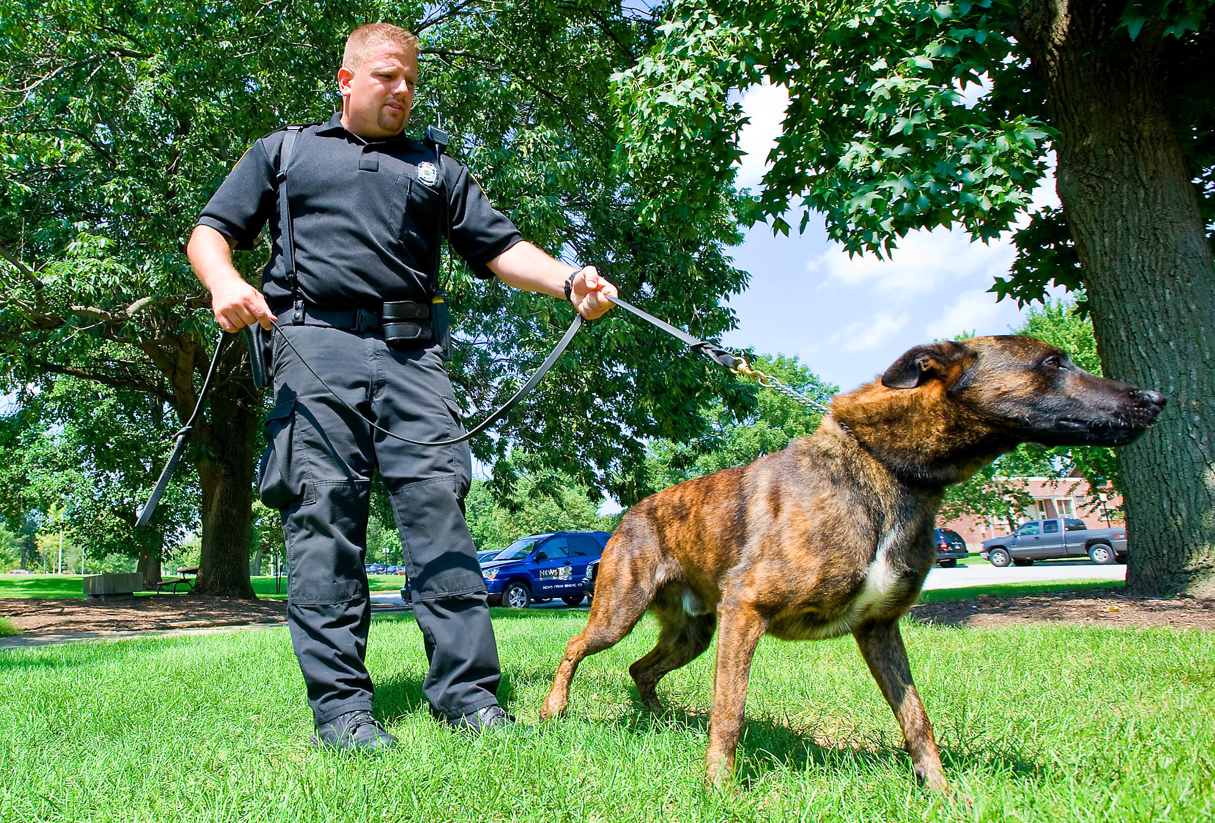 Dutch Shepherd Police