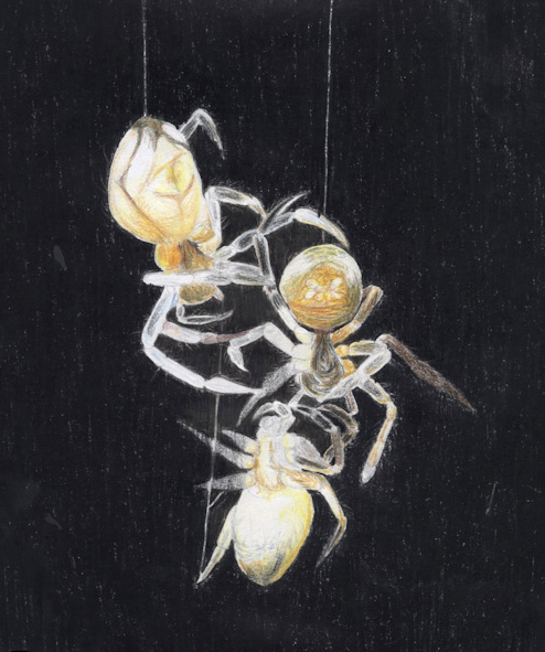 Purdue Galleries helps celebrate 100 years of Entomology at Purdue ...