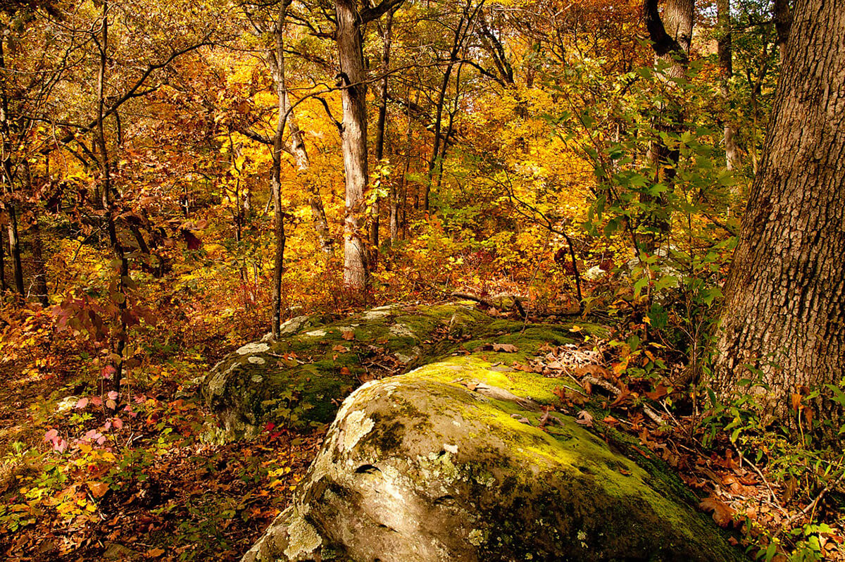 Purdue Galleries to open new winter exhibits - Purdue University