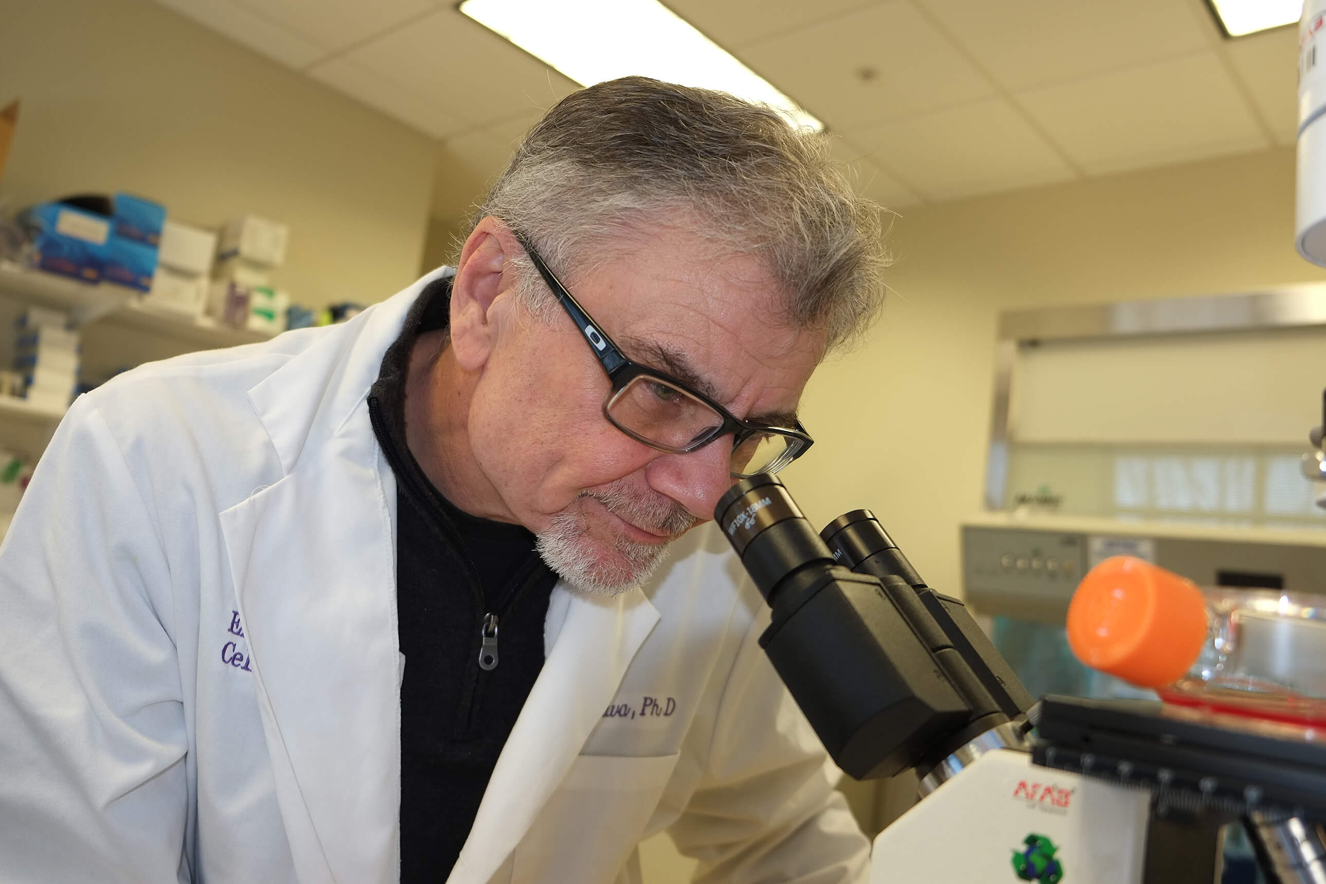 Web service allows consumers to make informed decisions on natural ...