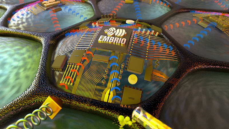 Cracking the code of cellular defense - Purdue University News