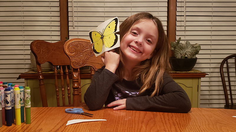 Purdue's Spring Fest offers virtual at-home activities - Purdue ...