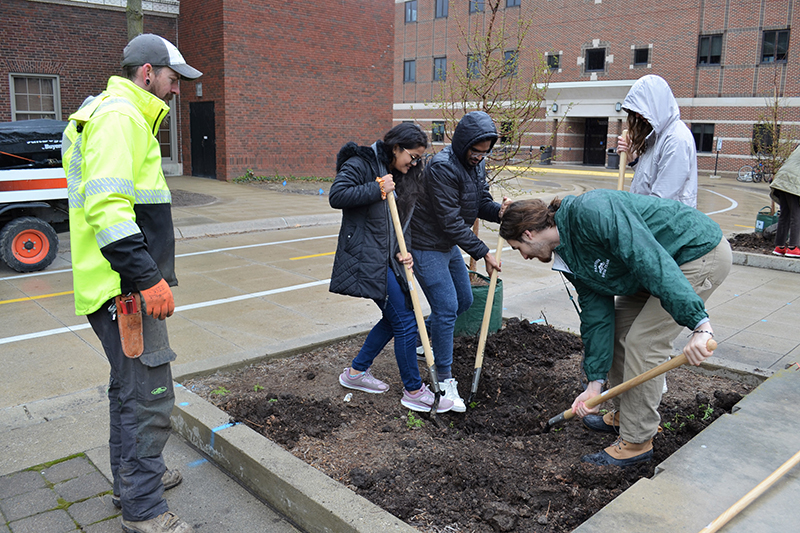Purdue presented with Tree Campus USA Award for 13th consecutive year ...