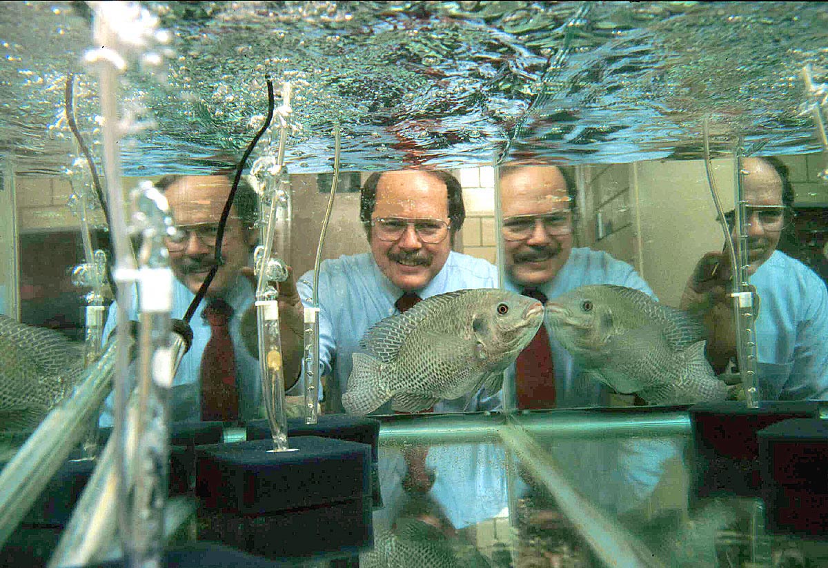 Environmental Impacts of Genetic Engineering on Wild Animals | by ...