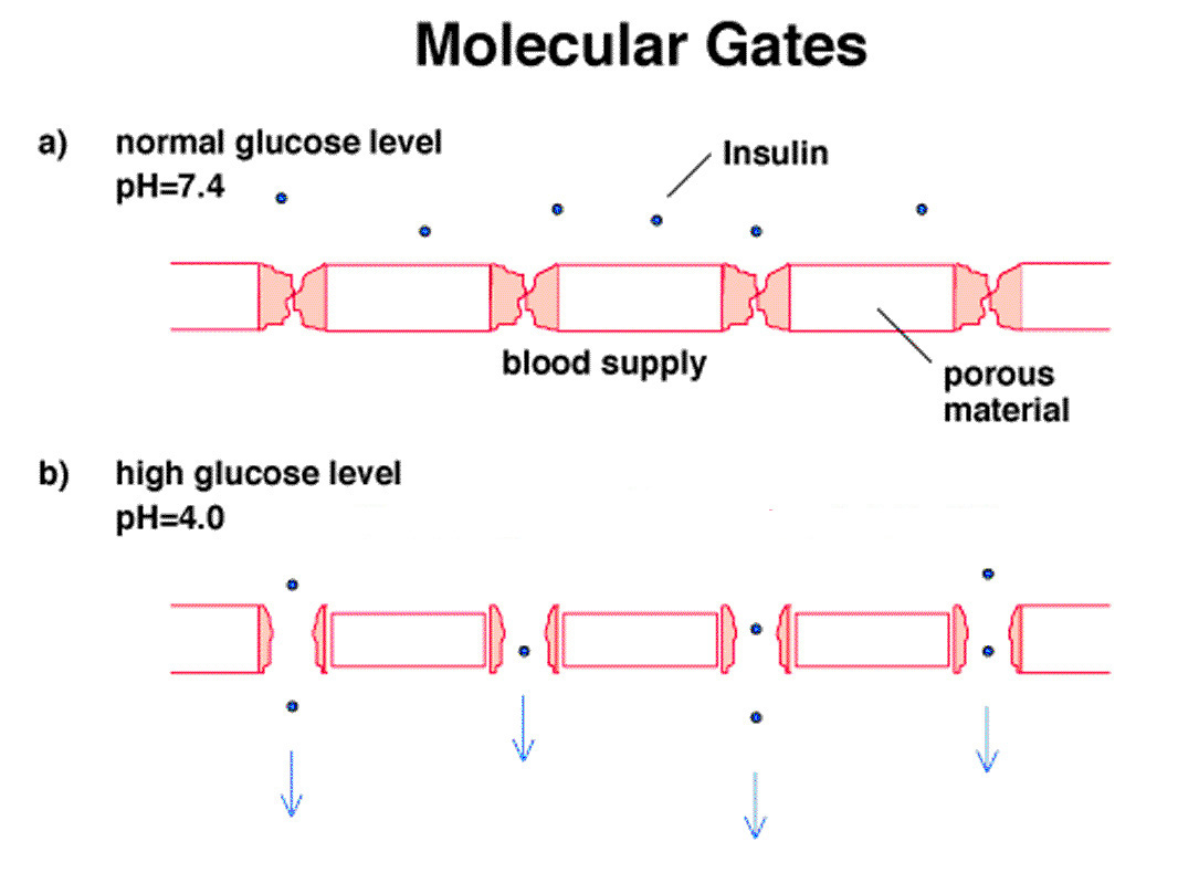 Molecular gates show promise for drug delivery
